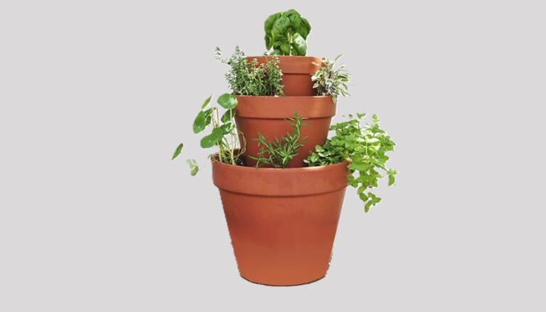 Herb Tower: A Guide to Vertical Gardening for Small Spaces (2026)