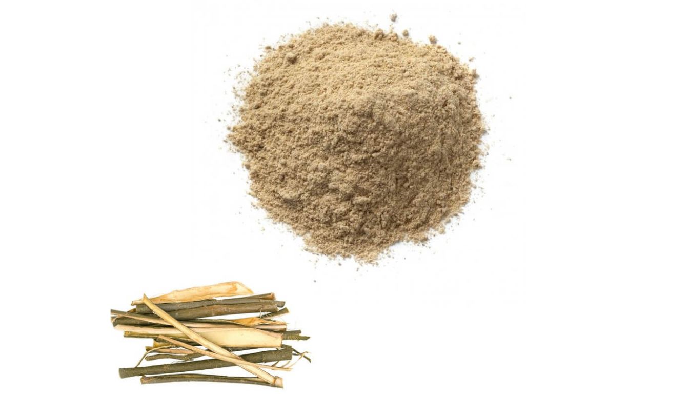 White Willow Bark Explained: Natural Pain Relief (2026)