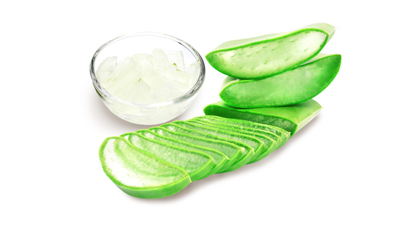 Best Rooting Hormone Powder: Plant Propagation Top Picks (2026)
