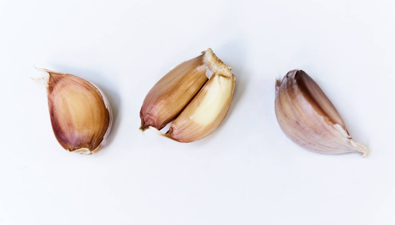 Cooking Elephant Garlic: Tips & Tricks for a Delicious Meal (2026)