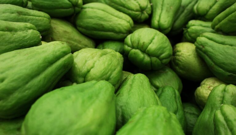 Rare Vegetables List: 10 Unique & Nutritious Options to Try (2026)