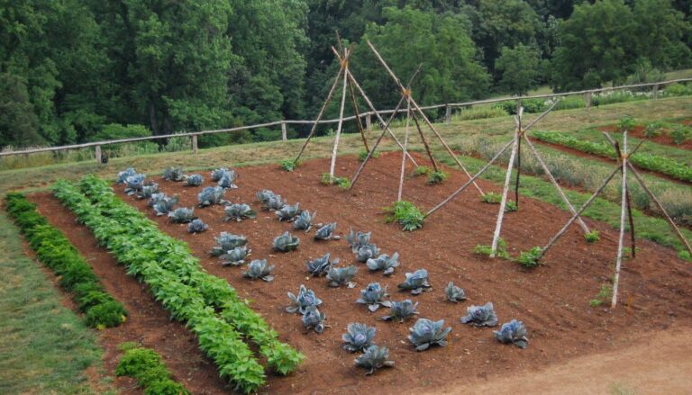 Rare Vegetables List: 10 Unique & Nutritious Options to Try (2026)