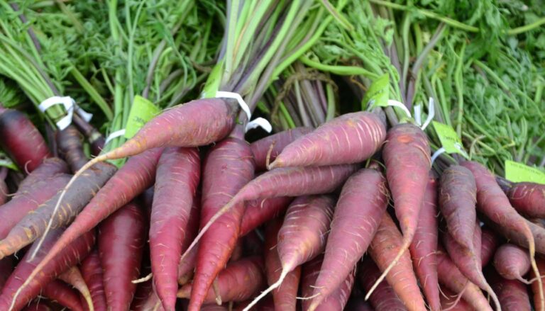 Rare Vegetables List: 10 Unique & Nutritious Options to Try (2026)
