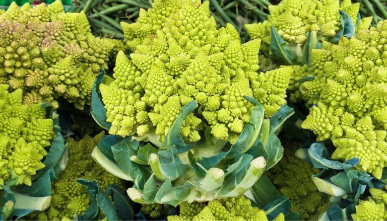 Rare Vegetables List: 10 Unique & Nutritious Options to Try (2026)