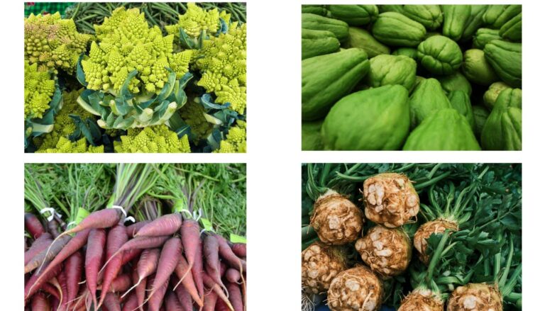 Rare Vegetables List: 10 Unique & Nutritious Options to Try (2026)