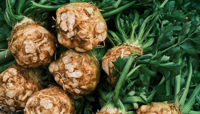 Rare Vegetables List: 10 Unique & Nutritious Options to Try (2026)