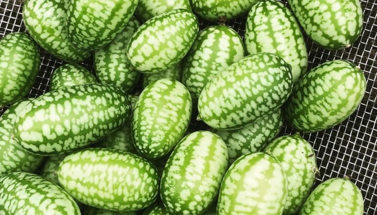 Weird Vegetables to Grow: Unique and Uncommon Varieties (2026)