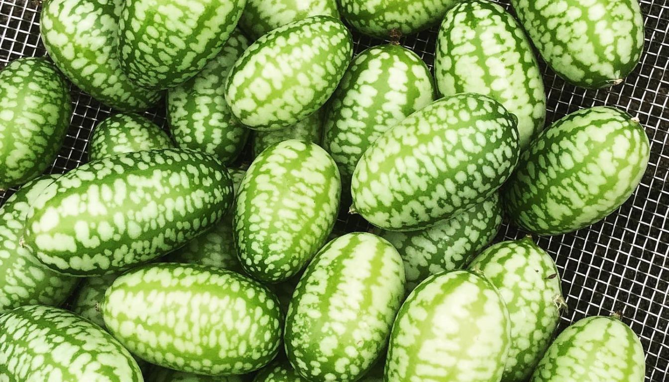 Weird Vegetables to Grow: Unique and Uncommon Varieties (2026)