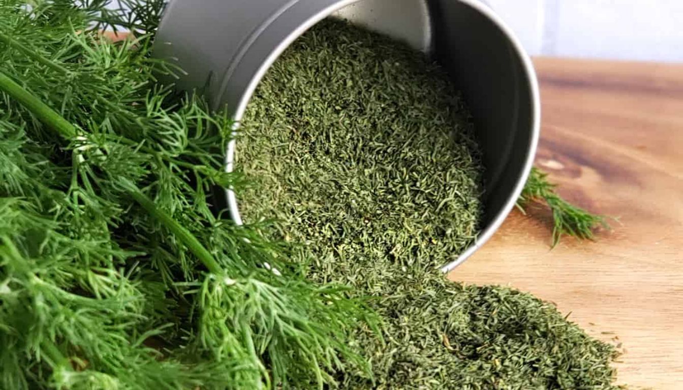 Does Dill Weed Go Bad? A Guide to Shelf Life and Storage (2026)