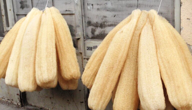 How to Dry Luffa? A Step-by-Step Guide (2026)