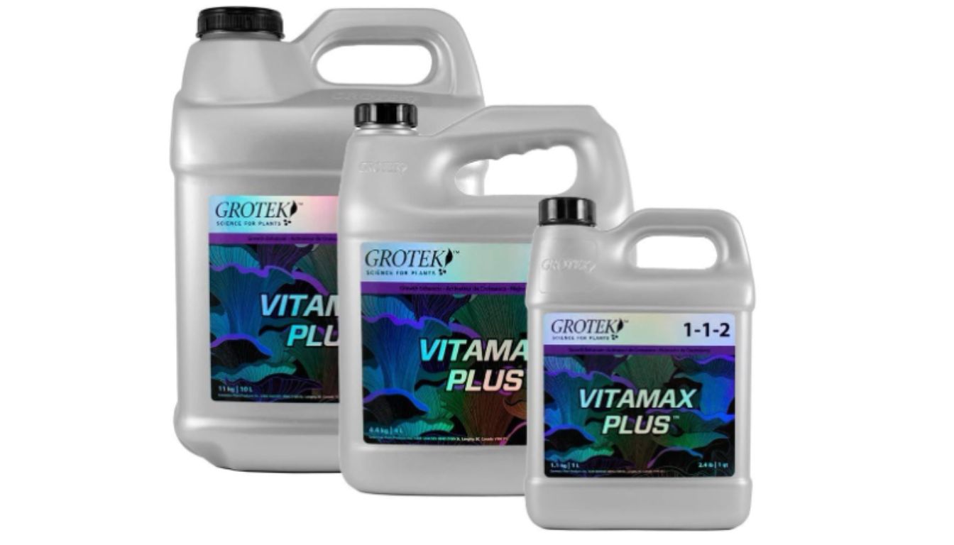 An Honest, In-Depth Vitamax Plus Review (2025)