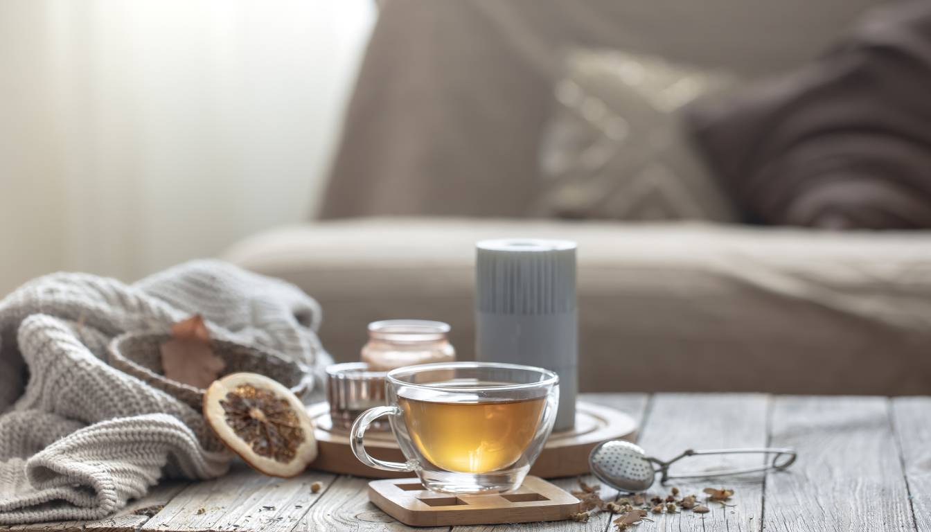 Home Remedies for Viral Bronchitis: All You Need! (2026)