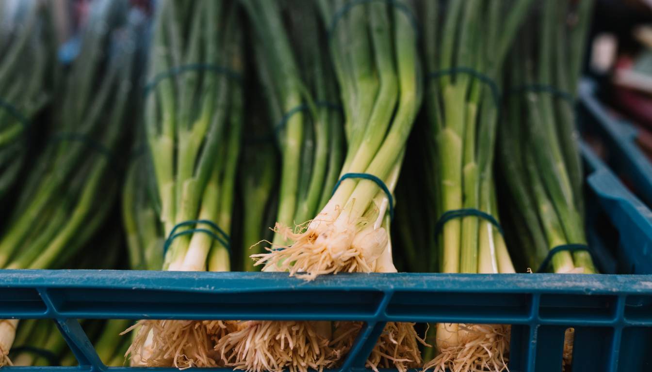 Scallions vs Chives: Everything You Need To Know! (2026)
