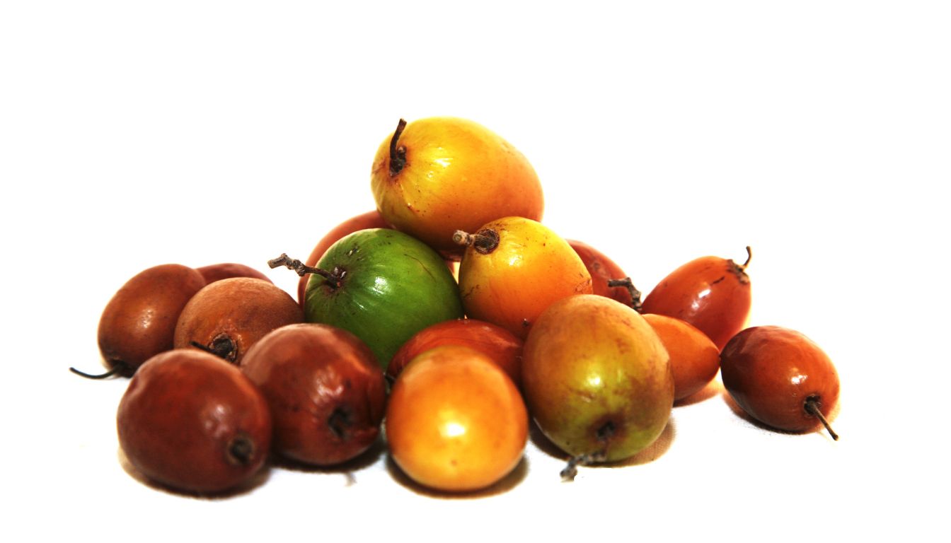 Jujube Fruit: Unlocking Nature's Powerful Health Benefits (2026)