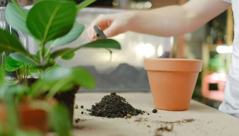 Mastering Fertilizing Herbs: Tips for a Thriving Garden (2026)