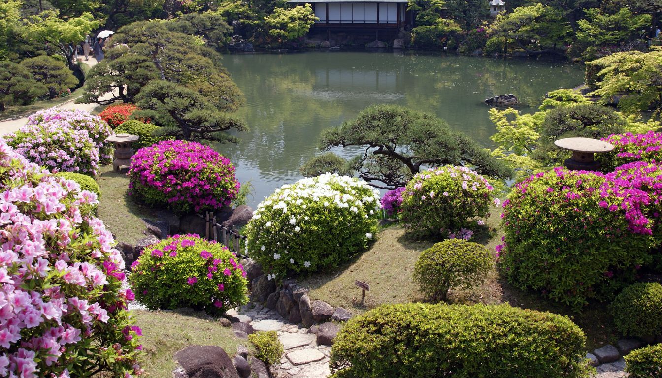The Beauty and Symbolism of Japanese Garden Flowers (2026)