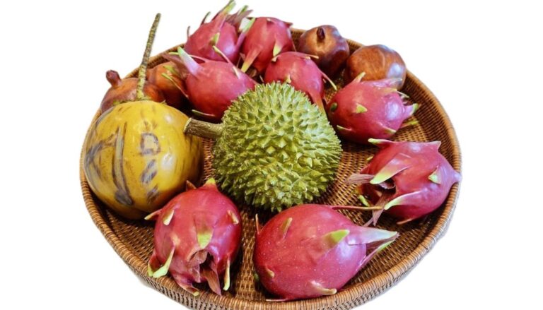 Ultimate List of Delicious and Nutritious Tropical Fruits (2026)