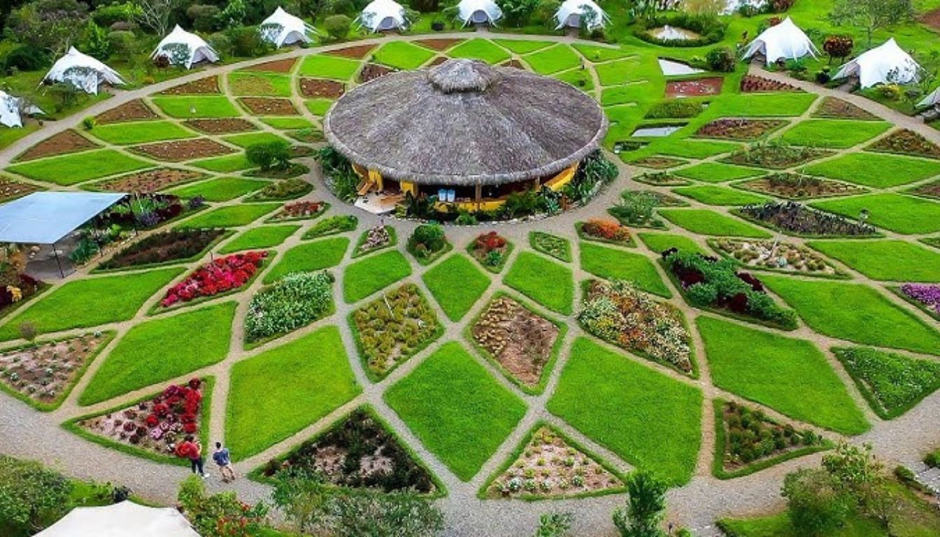 Design a Mandala Garden: A Path to Harmony and Serenity (2026)