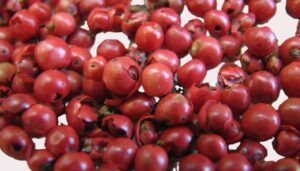 Discover Pink Peppercorns: Flavor, Uses, and Benefits (2026)