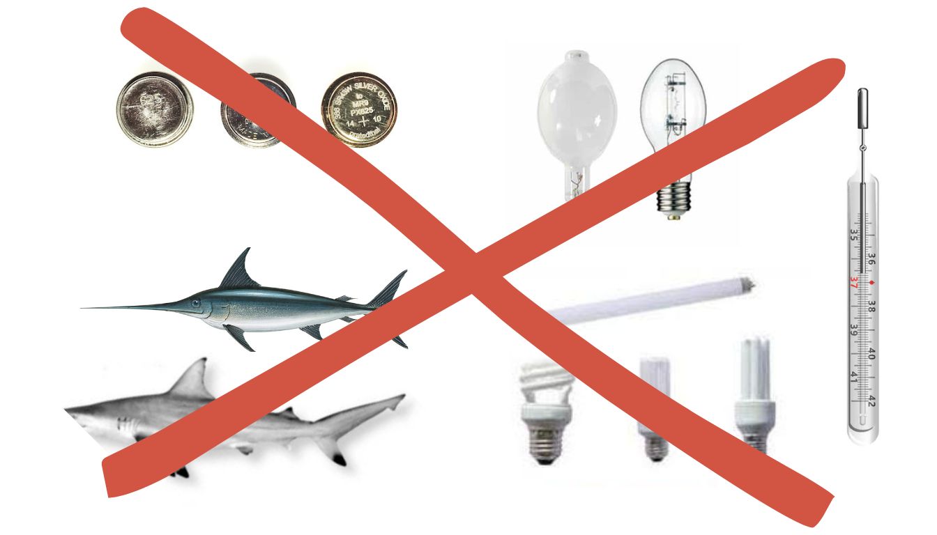 Mercury Poison: Sources, Symptoms, and Prevention Tips (2026)