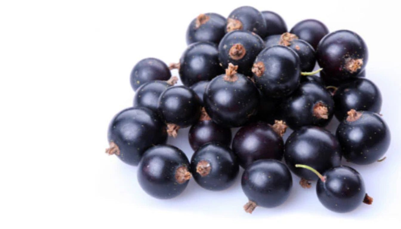 Quick Guide: The Difference Between Currants and Raisins (2026)