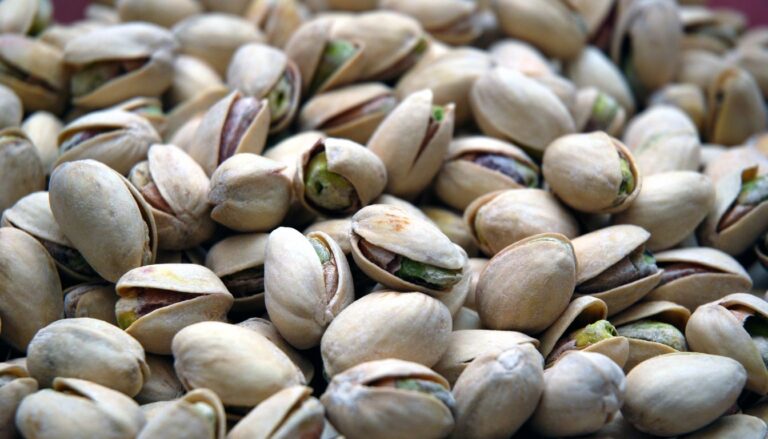 The Nutritional Power of Pistachios: A Perfect Healthy Snack (2026)
