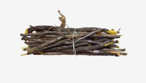 Yellow Root: Unlocking Natural Benefits for Vibrant Health (2025)