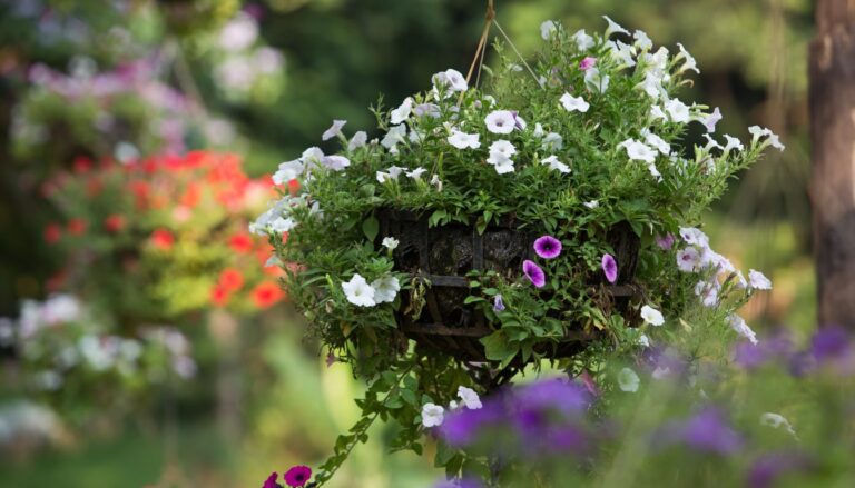 5 Stunning Trailing Flowers to Brighten Hanging Baskets (2026)