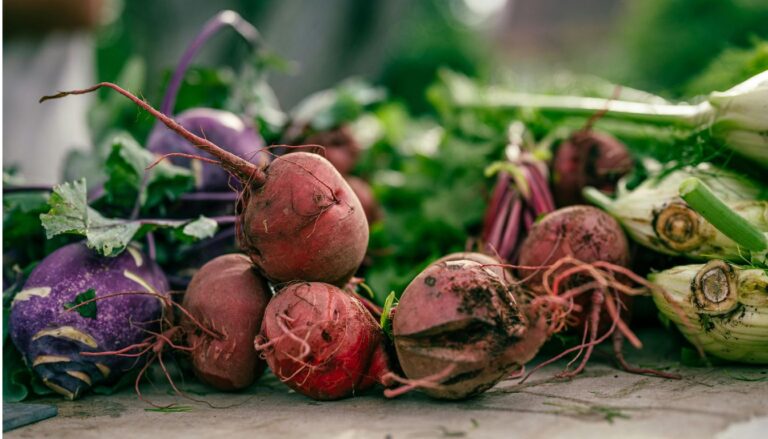 Beet Harvesting: Strategies for a Tasty and Flavorful Crop (2025)