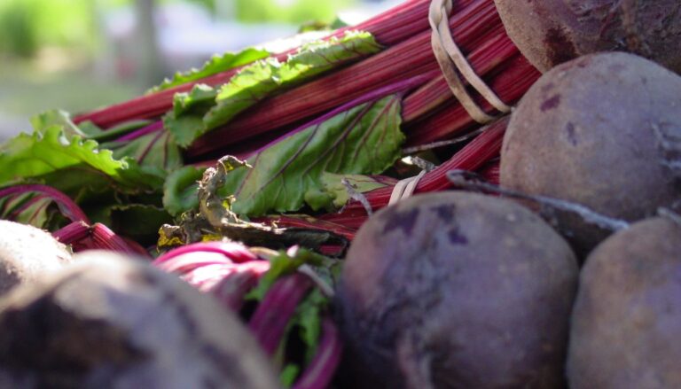 Beet Harvesting: Strategies for a Tasty and Flavorful Crop (2026)