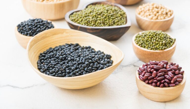 Best Bean Varieties: Nutrition, Flavor, and Different Uses (2026)