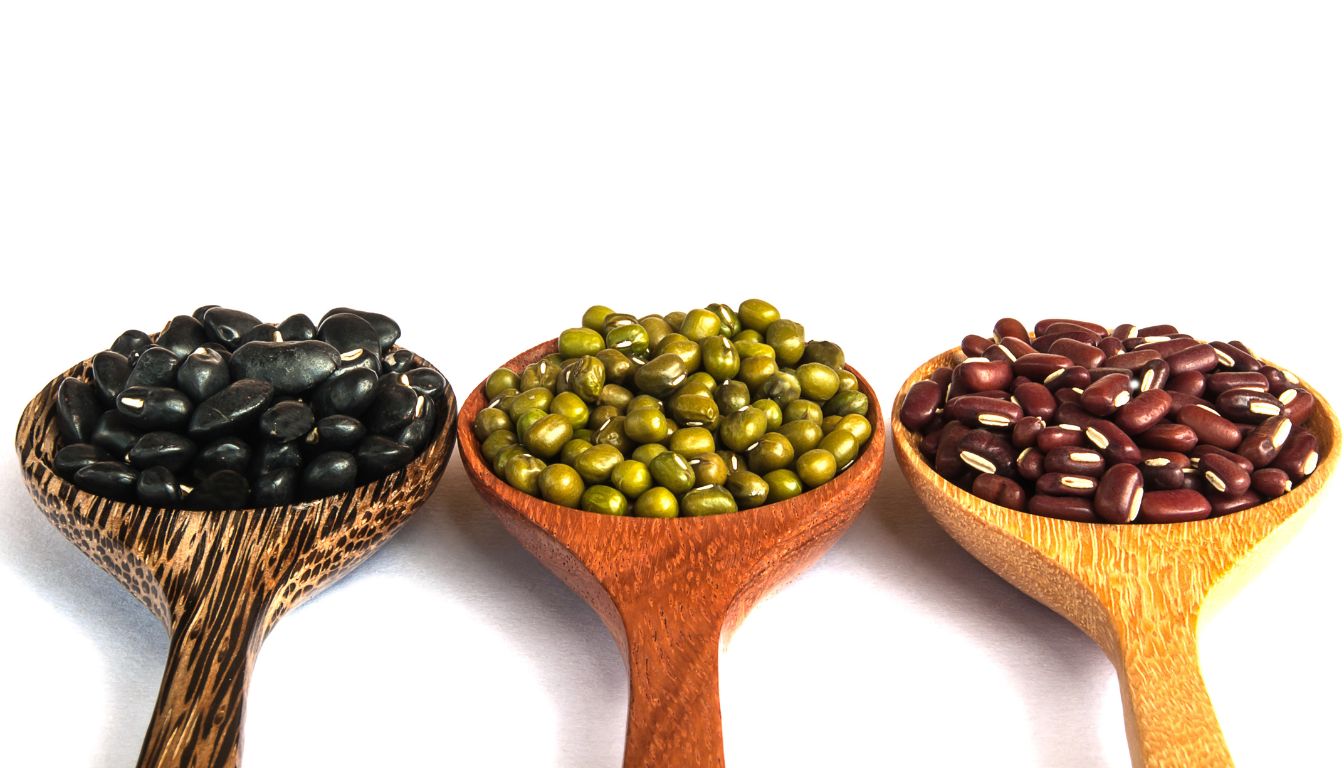 Best Bean Varieties: Nutrition, Flavor, and Different Uses (2026)