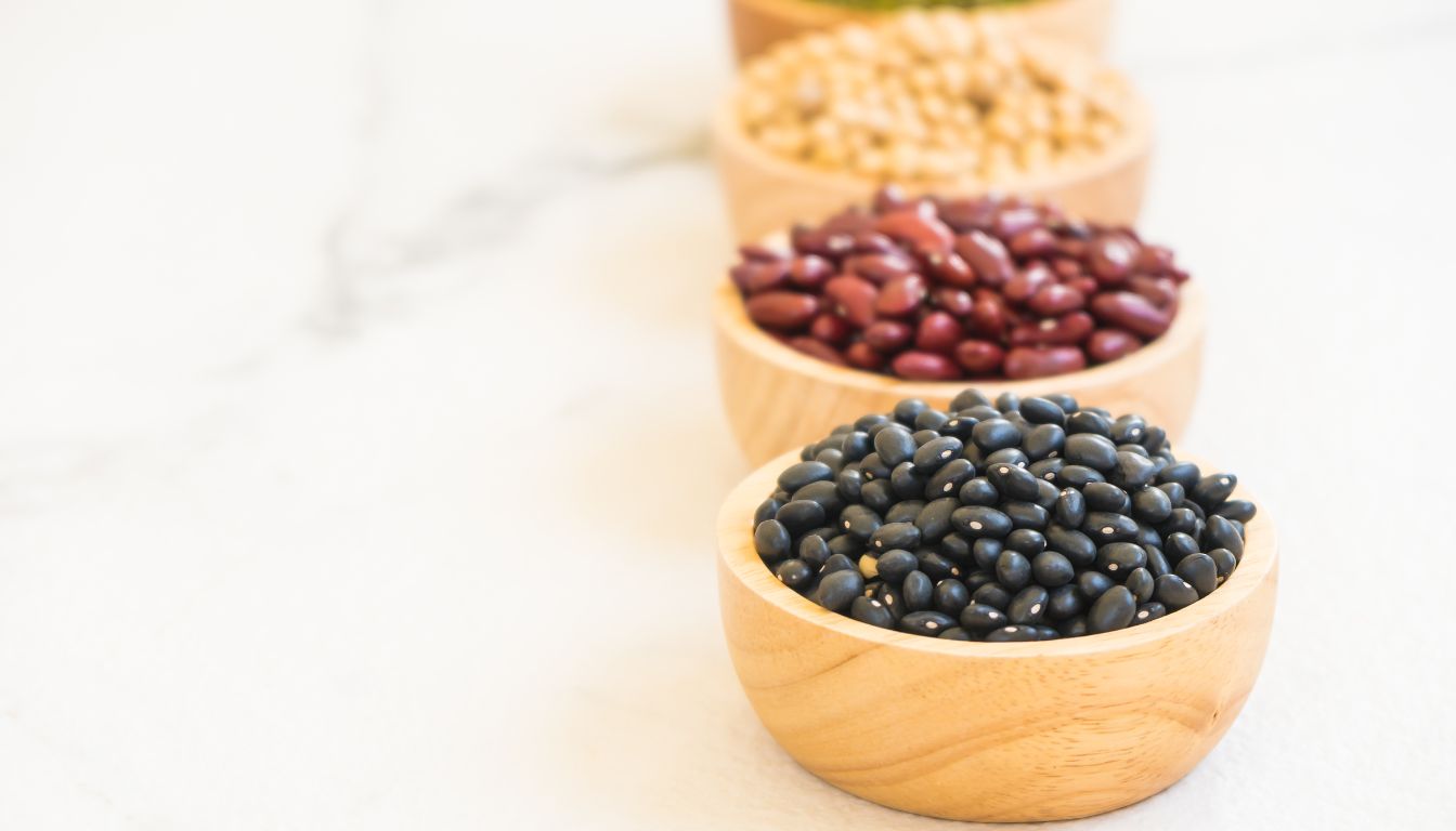 Best Bean Varieties: Nutrition, Flavor, and Different Uses (2026)