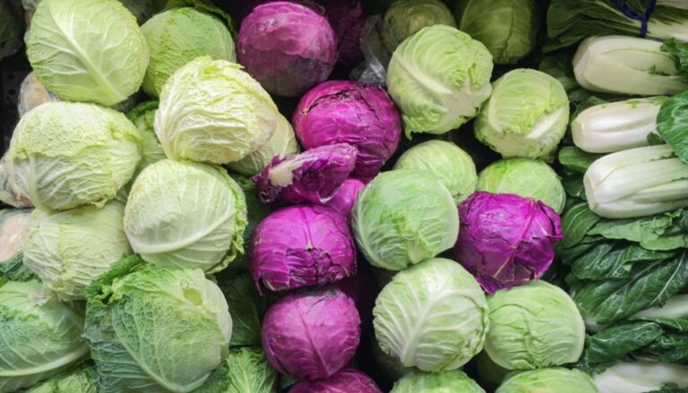 Cabbage Preservation: Simple Methods for Lasting Taste (2026)