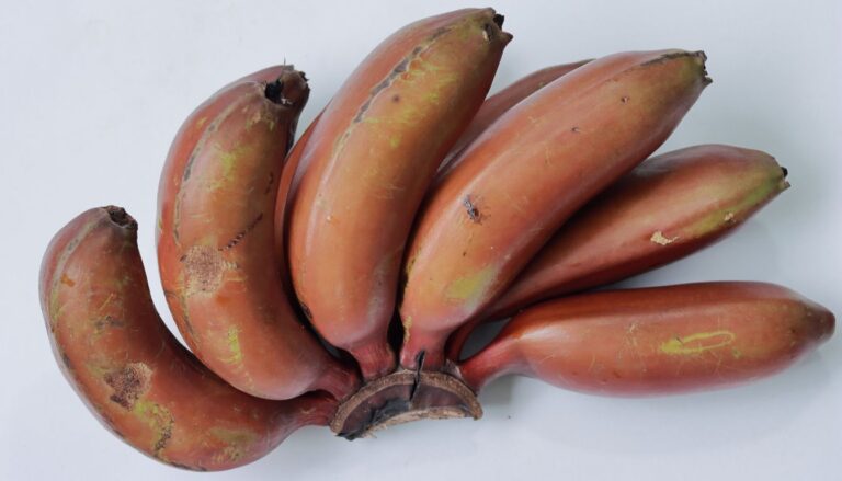 Discover Remarkable Red Banana Benefits for Great Health (2026)