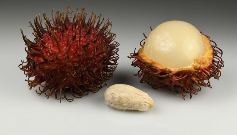 The Rarest Fruits on Earth: Nature's Hidden Delights (2025)