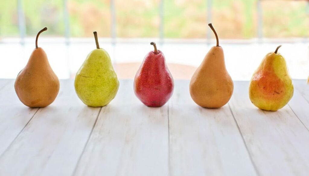 Exploring Pear Varieties: What Makes Each One Unique (2025)
