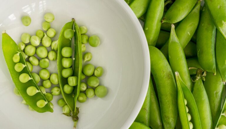 Indoor Peas: Simple Steps for Fresh and Crunchy Harvests (2026)