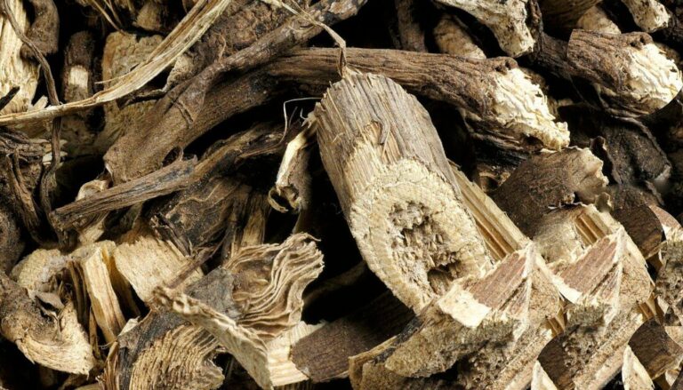 Kava Root: A Natural Solution for Relaxation & Stress Relief (2026)
