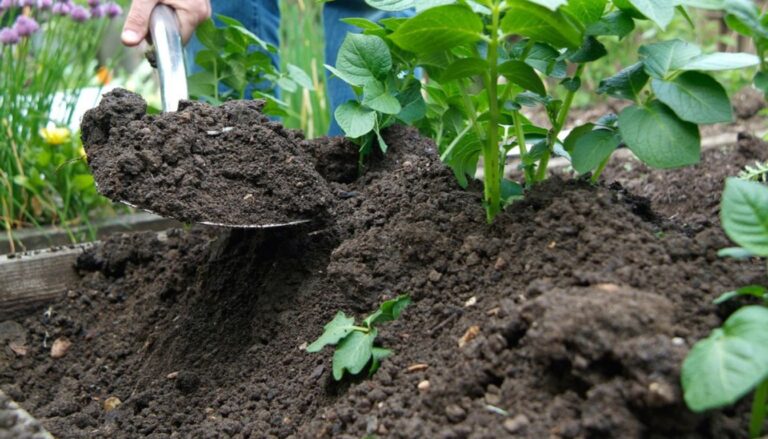 Potato Mounding: Top Techniques for a Bountiful Harvest (2026)