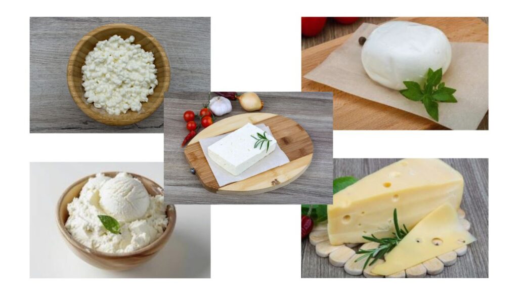 Top 5 Healthiest Cheese Types and Their Unique Benefits (2026)