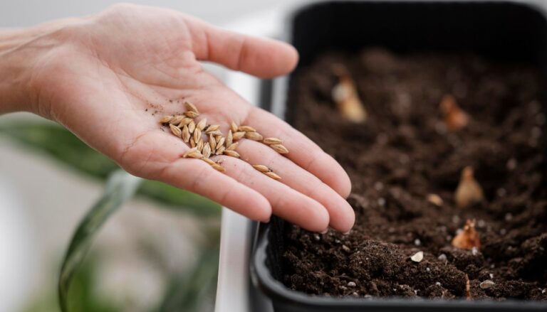 Troubleshooting Seed Germination: Causes & Quick Fixes (2026)