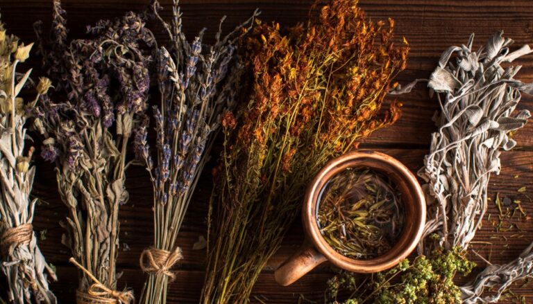 A Journey into Middle Eastern Herbal Traditions and Healing (2026)