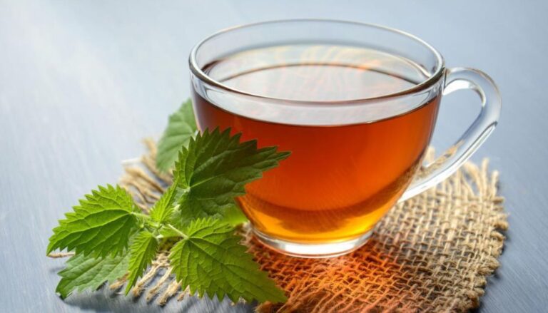 Stinging Nettle Tea: Benefits, Uses and Brewing Tips (2026)