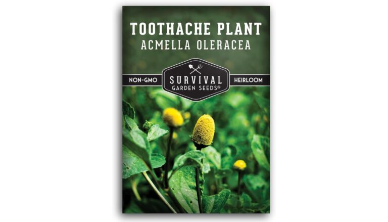 Survival Garden Seeds Toothache Plant Seeds Review (2026)